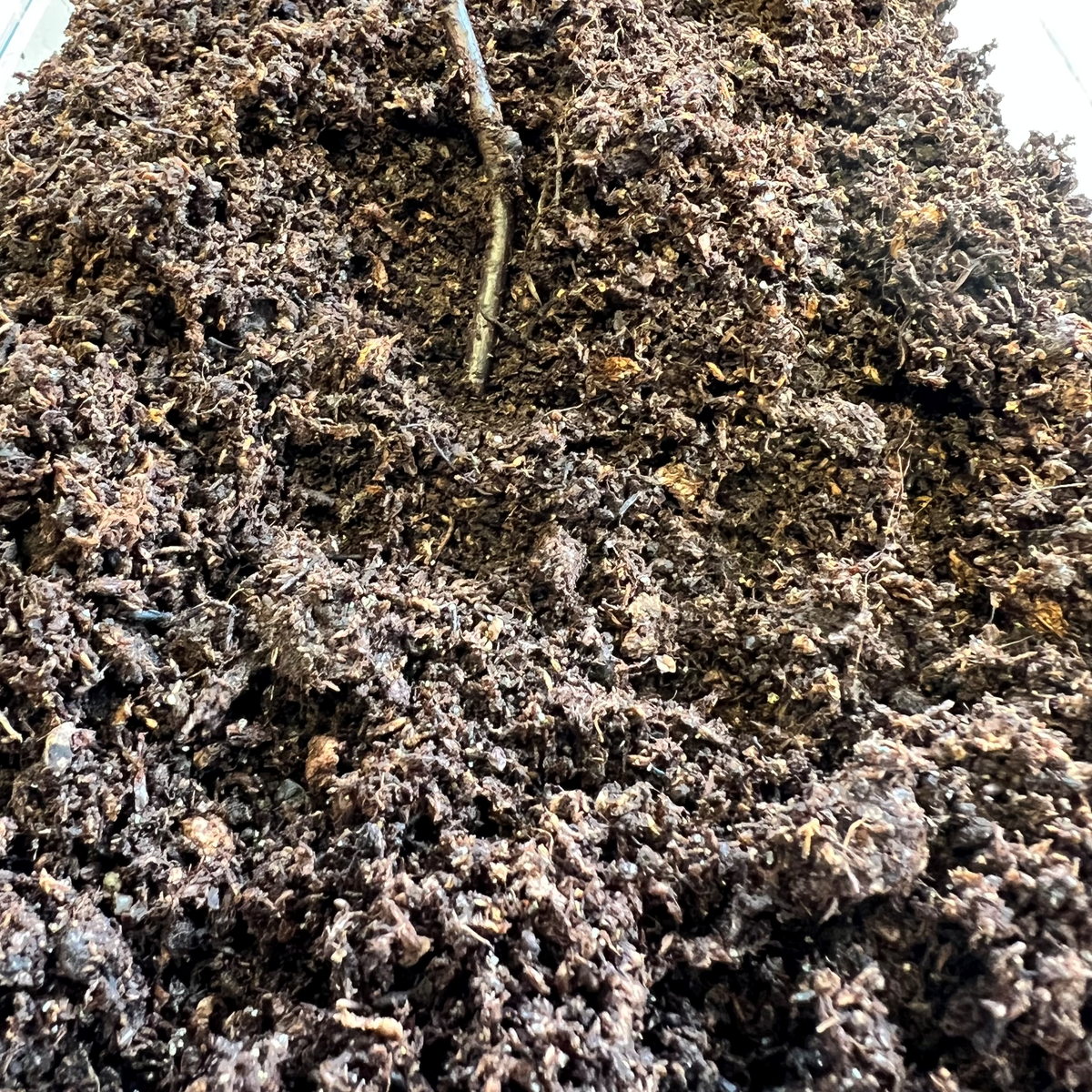 Ericaceous Compost | Bags of Compost Local Free Delivery