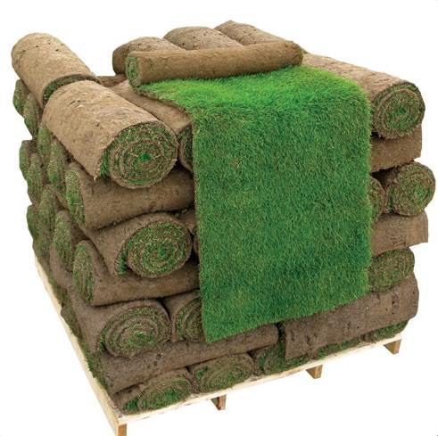 Premium Garden Turf Delivered in Sussex